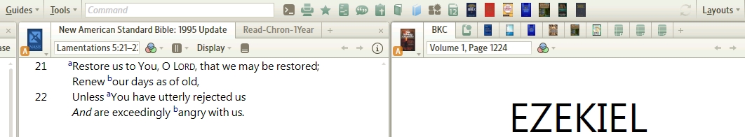 Bug: Parallel resources vanished — Logos Community